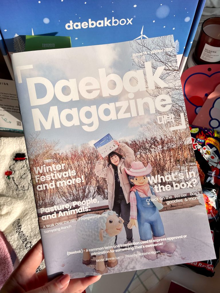 Daebak Box Review – Korean Subscription Box - Kbeauty Notes